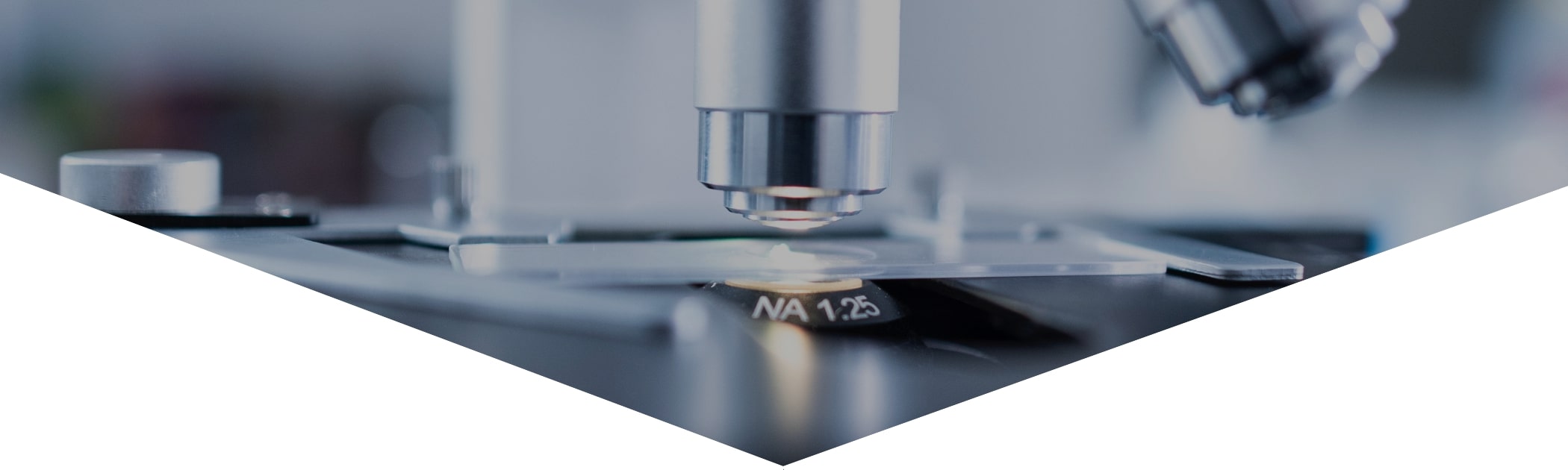 Sobre nosotros - Saveco